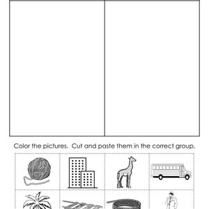 Science Sorting Worksheets: Kindergarten & Primary School (PDF) - Etsy