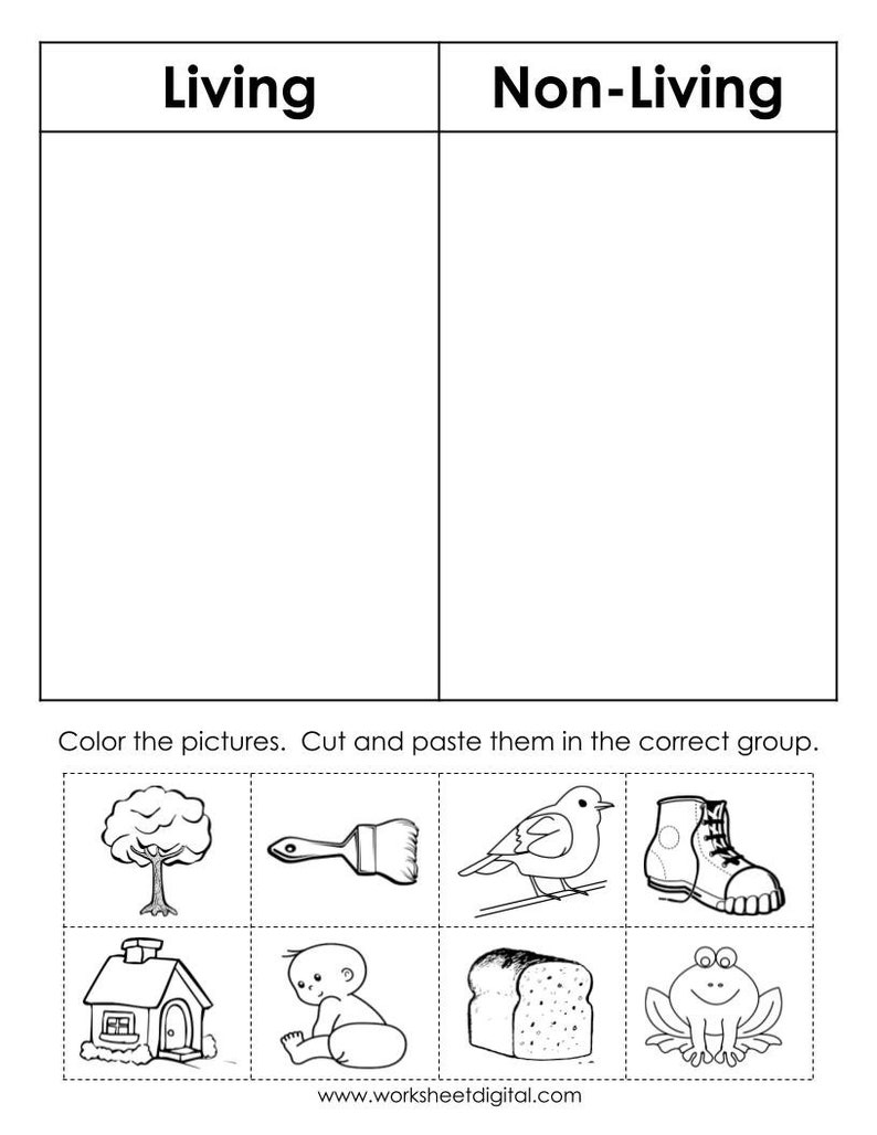 Science Sorting Worksheets: Kindergarten & Primary School (PDF) - Etsy