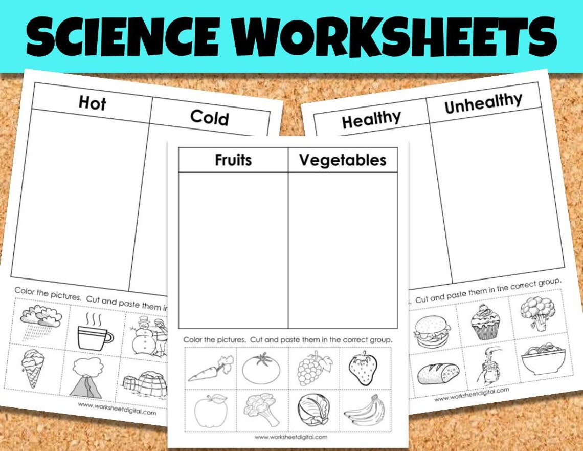 Science Worksheets, Sorting Worksheets, Kindergarten, Primary School ...