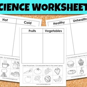Science Sorting Worksheets: Kindergarten & Primary School (PDF) - Etsy