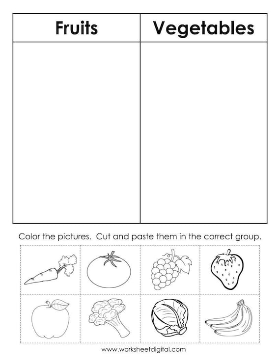 Elementary Science Worksheets