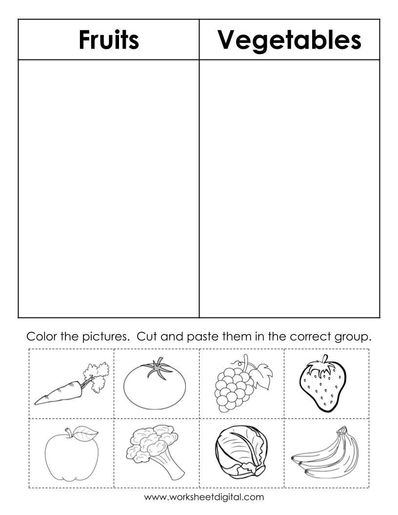 Science Worksheets, Sorting Worksheets, Kindergarten, Primary School ...