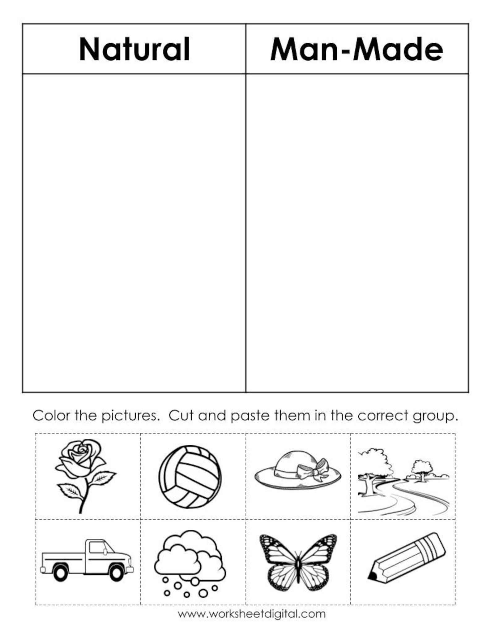 Science Sorting Worksheets: Kindergarten & Primary School (PDF) - Etsy