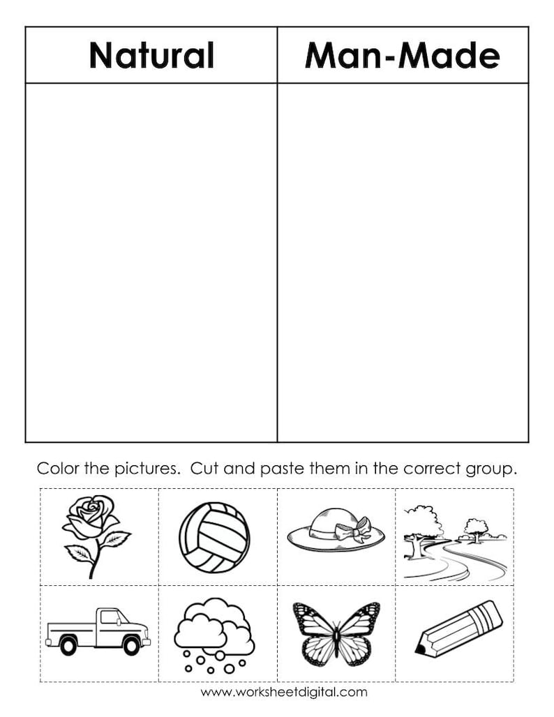 Science Sorting Worksheets: Kindergarten & Primary School (PDF) - Etsy