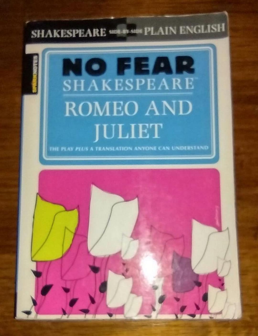 William Shakespeare Romeo and Juliet No Fear in Plain English - Etsy