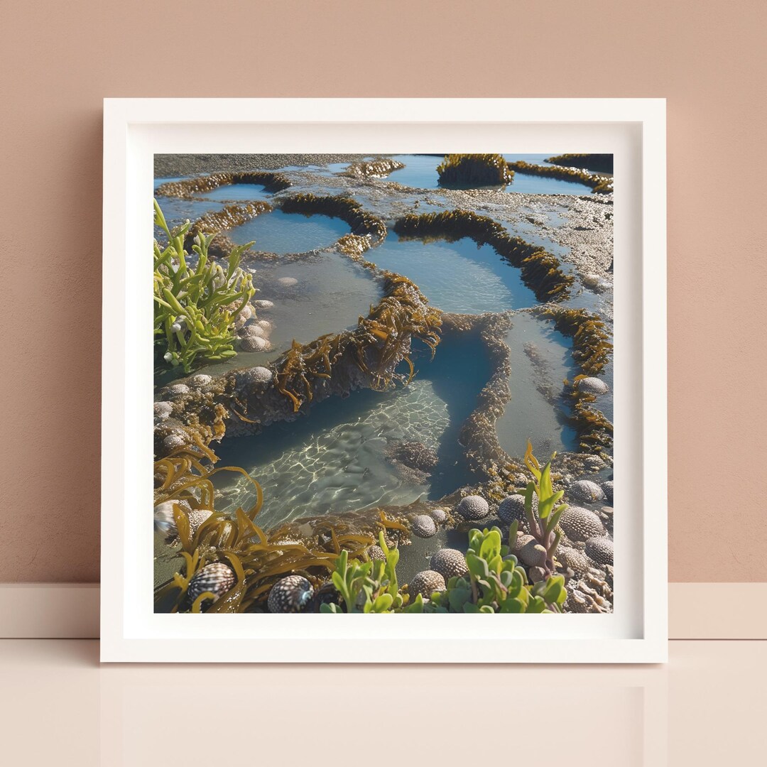 Rock Pools and Coastal Flora | Coastal Wall Art | Seaside Home Décor ...