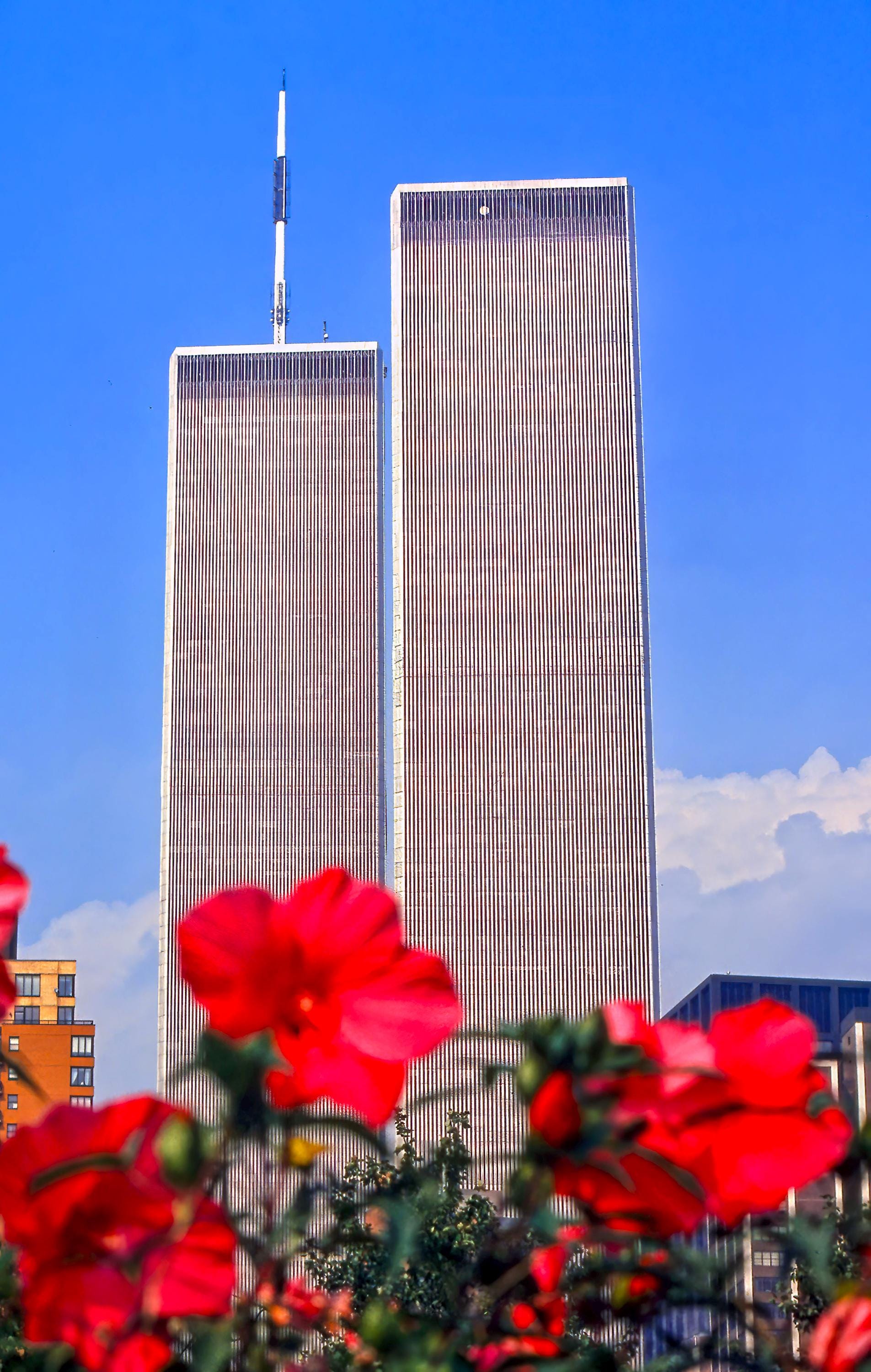 World Trade Center Poster, Twin Towers Over Flowers, Photo Wall Art ...