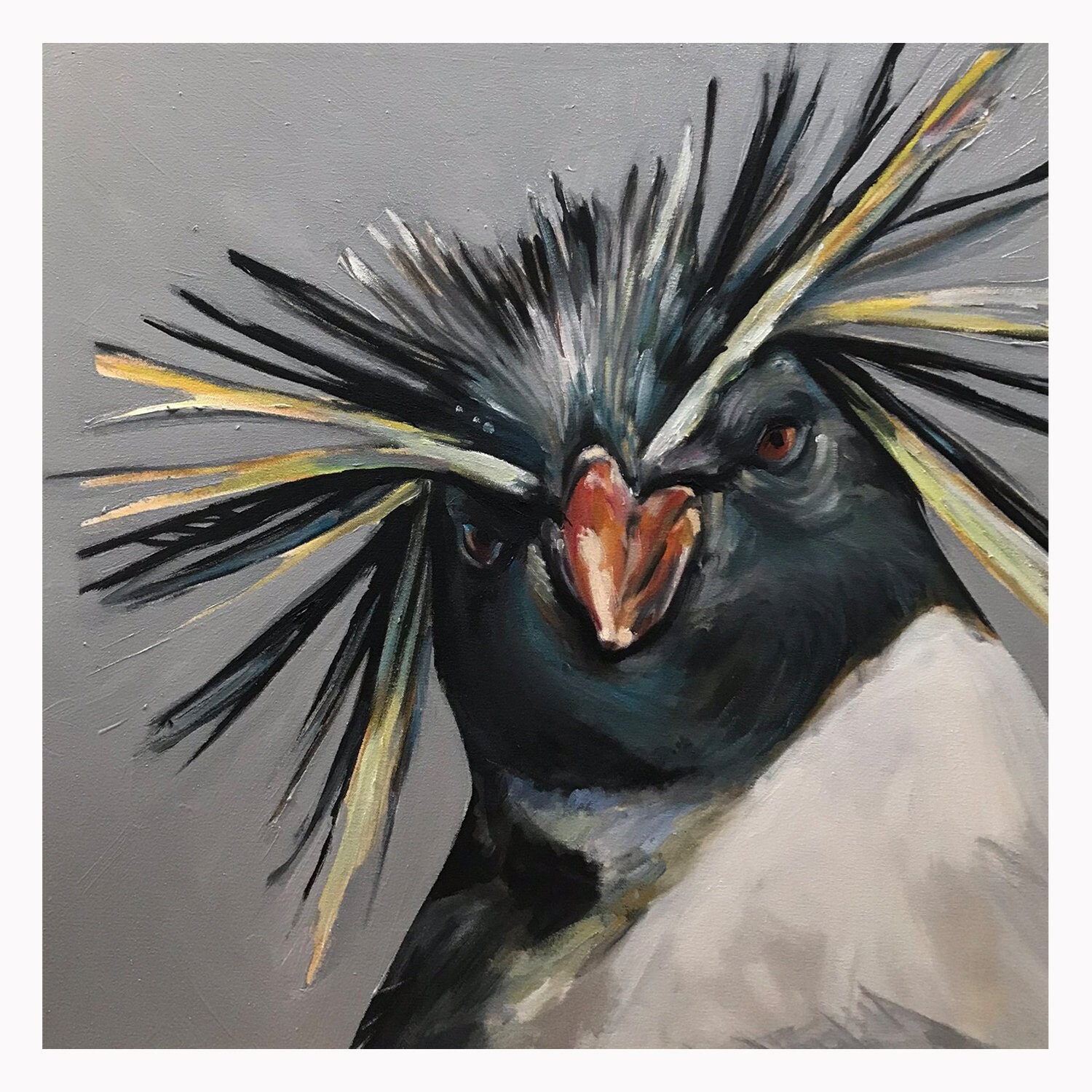 Limited Edition Giclee Print - Rockhopper Penguin - Etsy