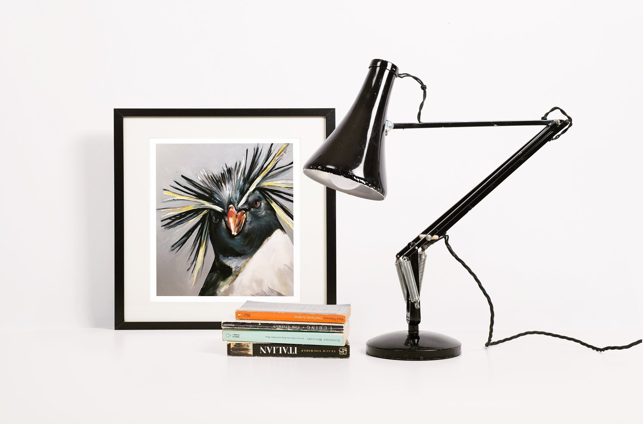 Limited Edition Giclee Print - Rockhopper Penguin - Etsy