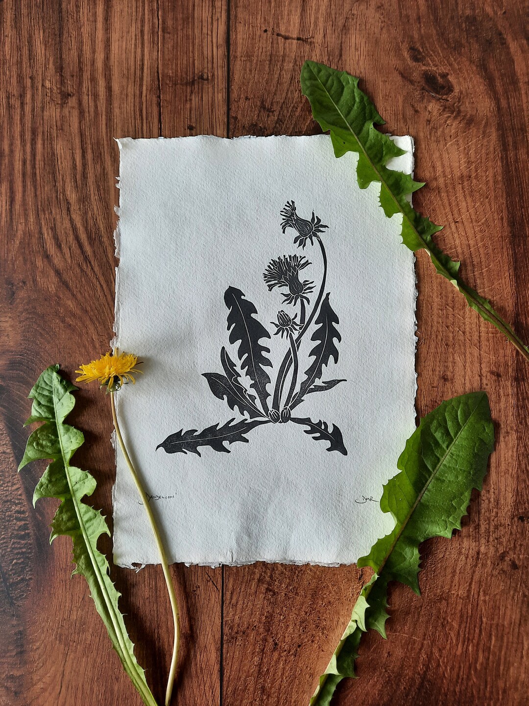 Dandelion Linocut Print ~ Original Hand Carved and Printed Artwork ...