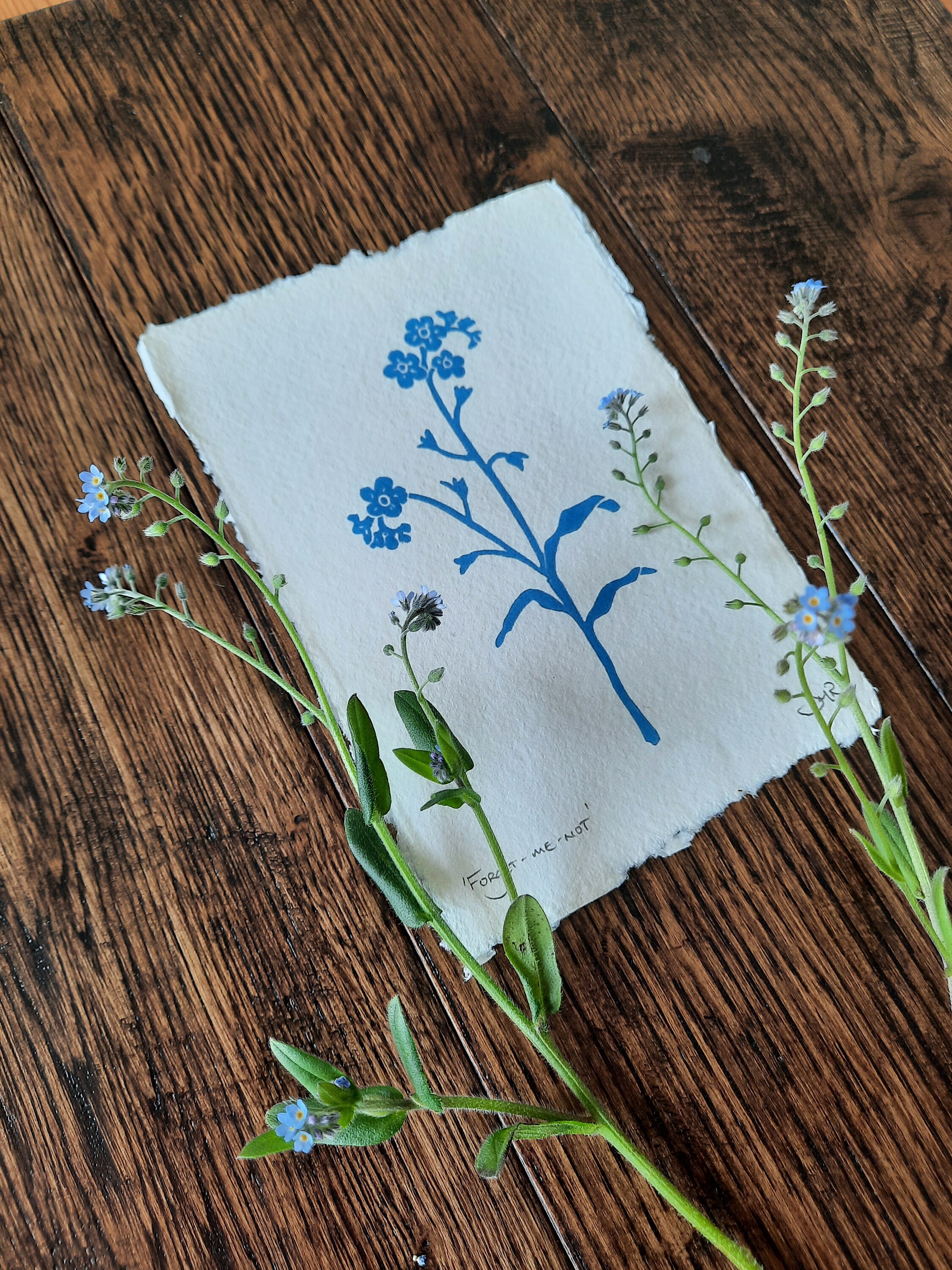 Forget-me-not Original Linocut ~ Blue ~ Hand Carved and Printed ...