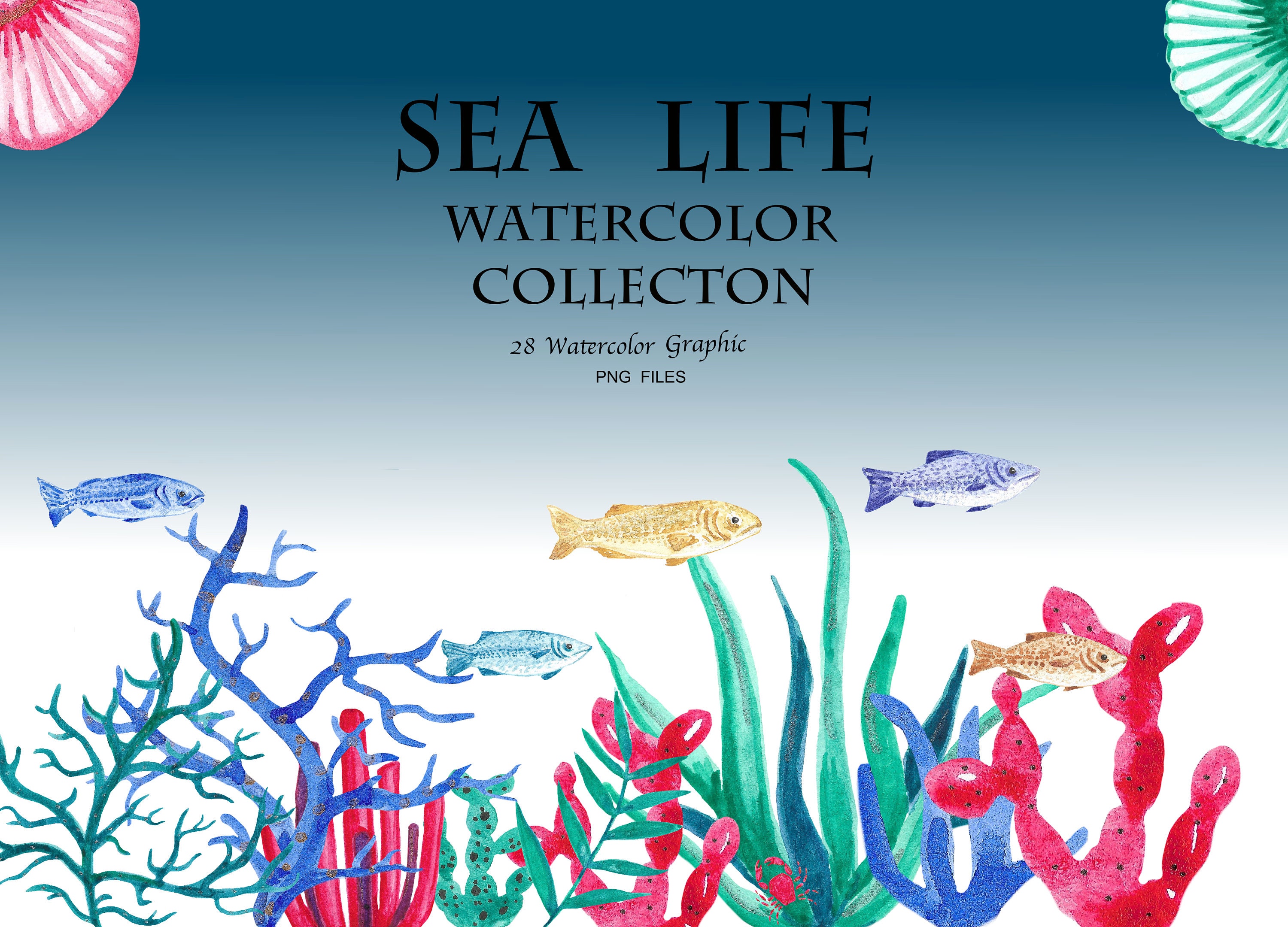 Sea Life Watercolor Collection Clipart Illustrations|corals Clipart ...