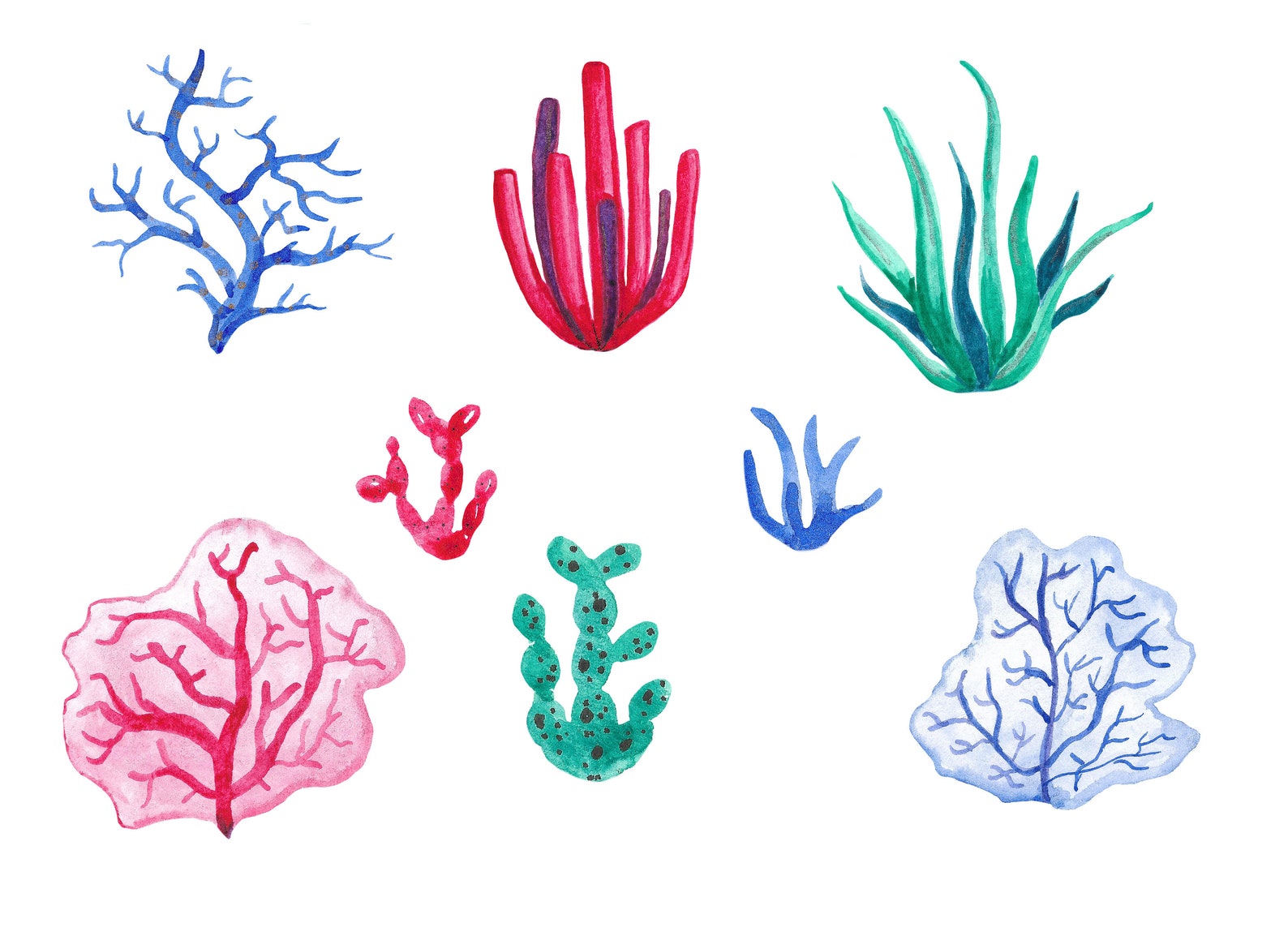Sea Life Watercolor Collection Clipart Illustrations|corals Clipart ...