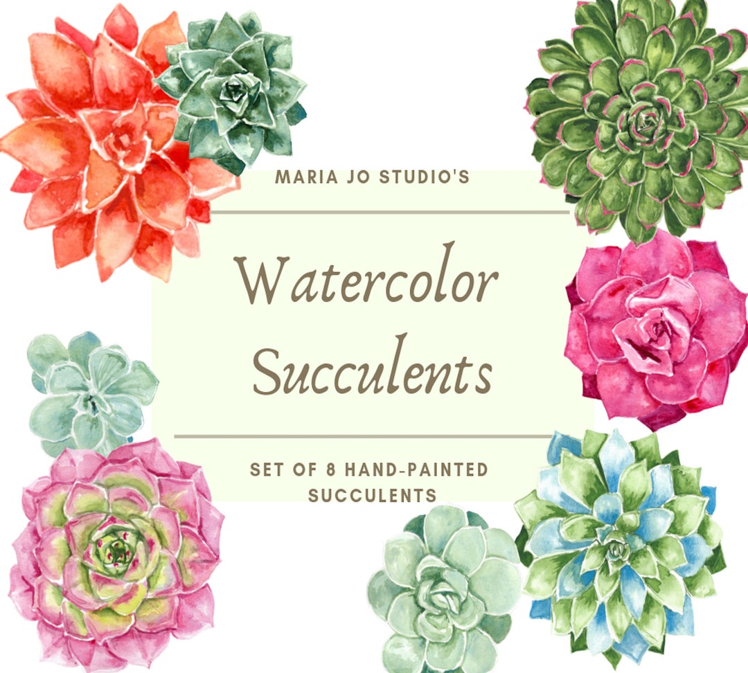 Watercolor Succulents Hand Painted Clipart Illustrations| Clipart ...