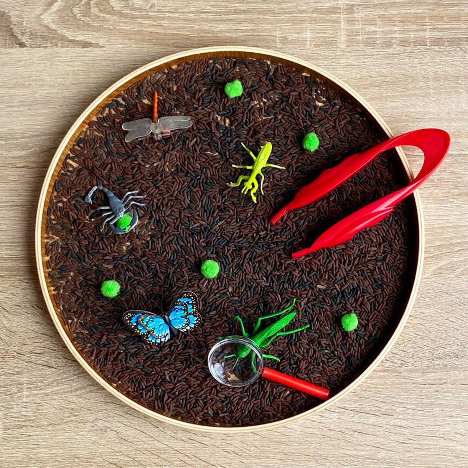 Bug Hunt Tuff Tray Set up and Accessories EYFS Small World | Etsy UK