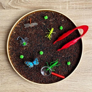 Bug Hunt Tuff Tray Set up and Accessories EYFS Small World | Etsy UK