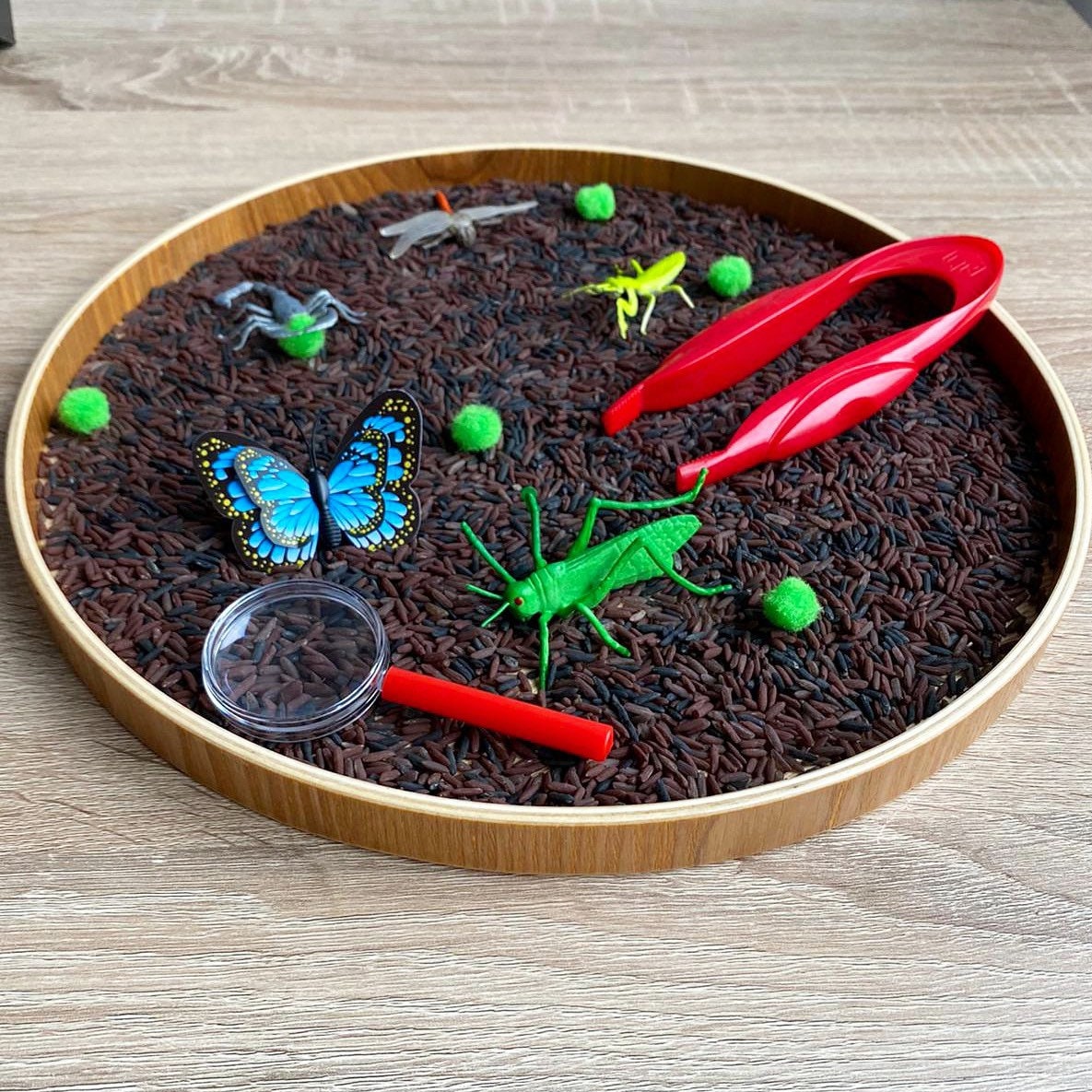 Bug Hunt Tuff Tray Set up and Accessories EYFS Small World | Etsy UK