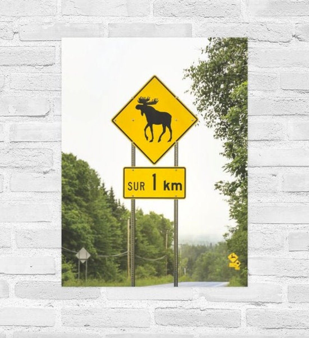 Poster 18x24 moose, Photo by R. Le Corre /jazz Kdu Pro - Etsy