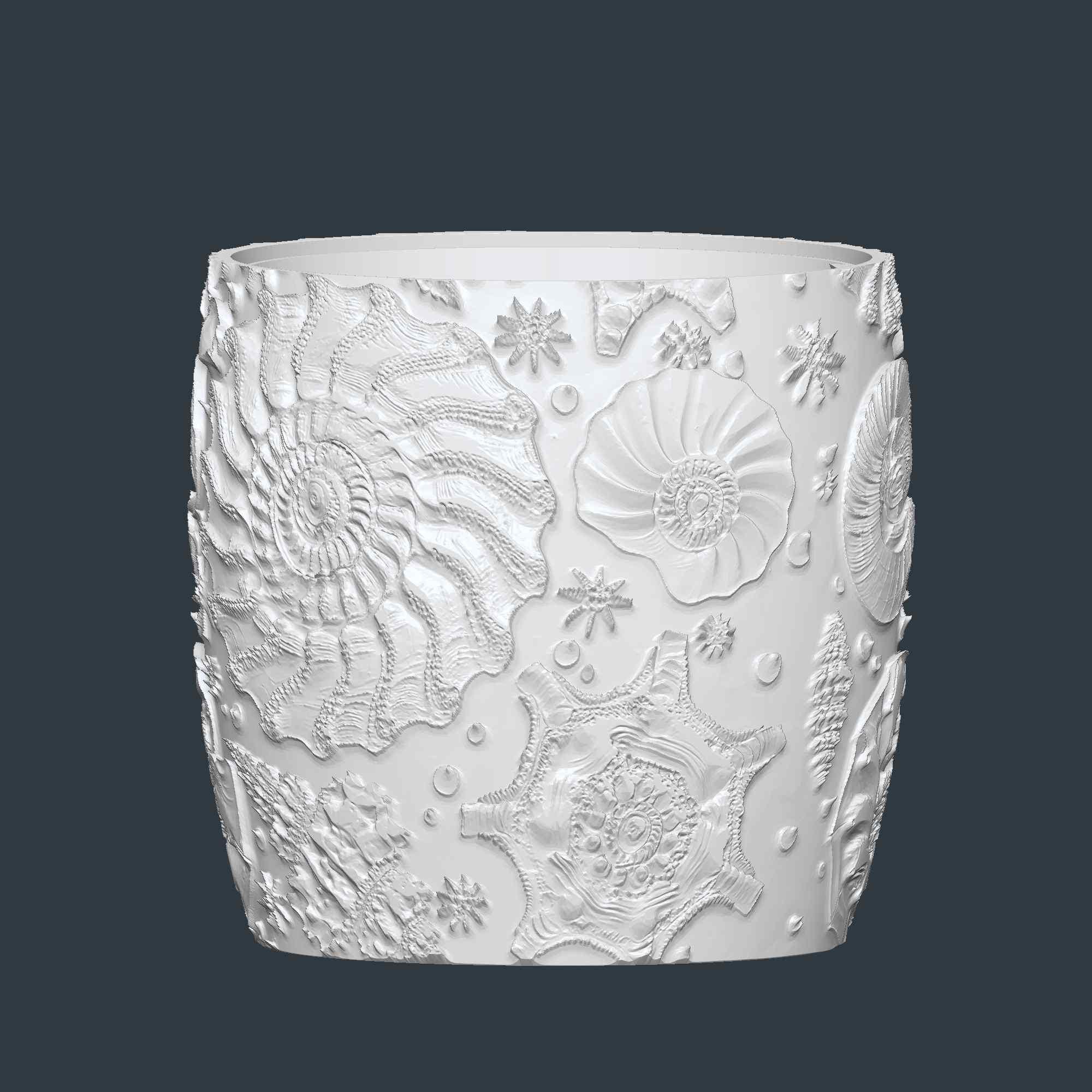 Seashell Planter STL – 3D Printable Coastal Pot – Ocean-inspired Decor ...