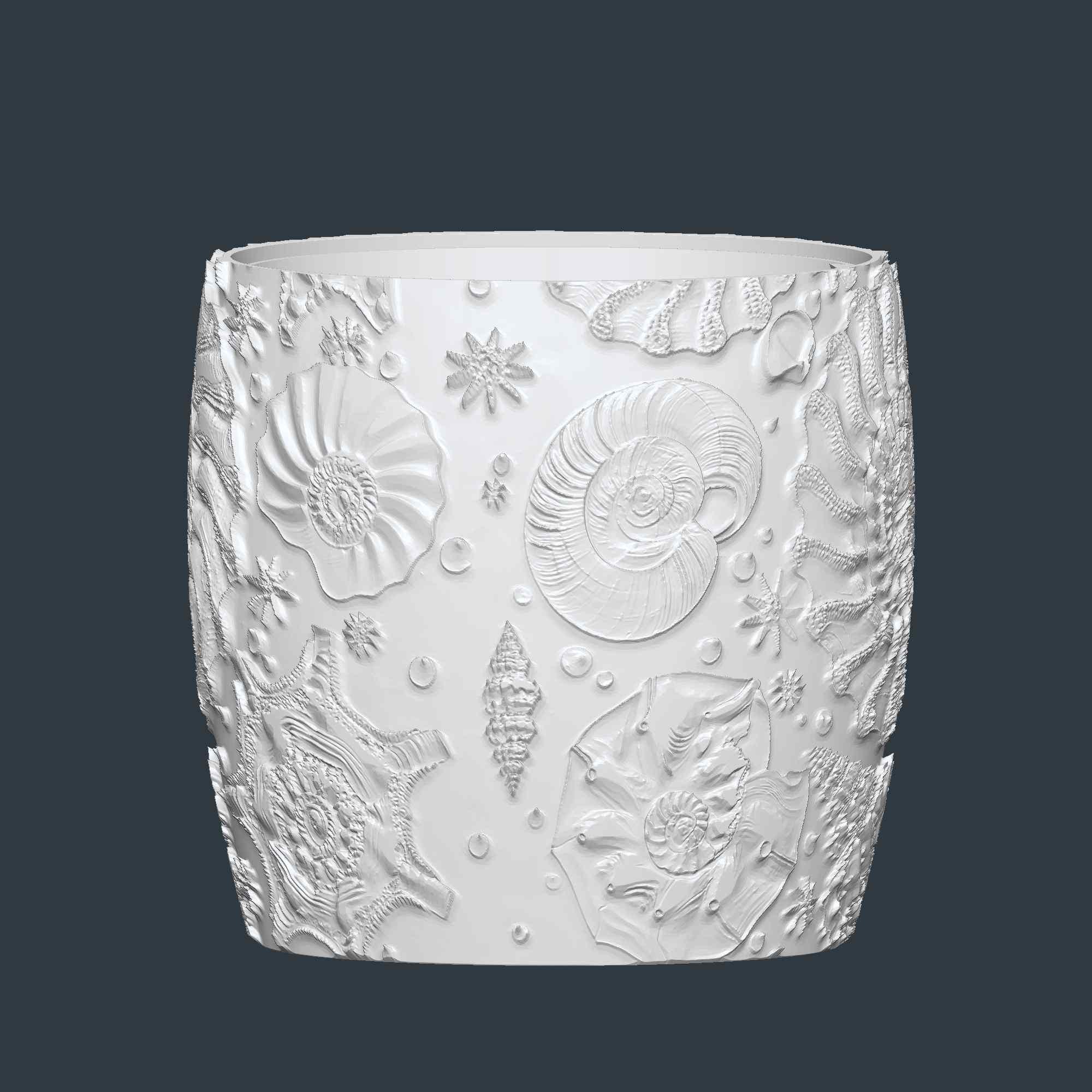 Seashell Planter STL – 3D Printable Coastal Pot – Ocean-inspired Decor ...