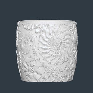 Seashell Planter STL – 3D Printable Coastal Pot – Ocean-inspired Decor ...