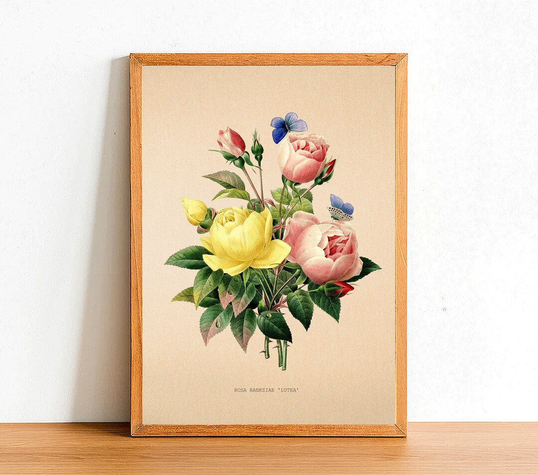 Vintage Rambling Rose Flower Print, Antique Flower Posters, Botanical ...