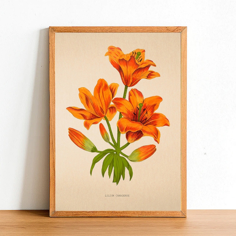 Lily Posters - Etsy UK
