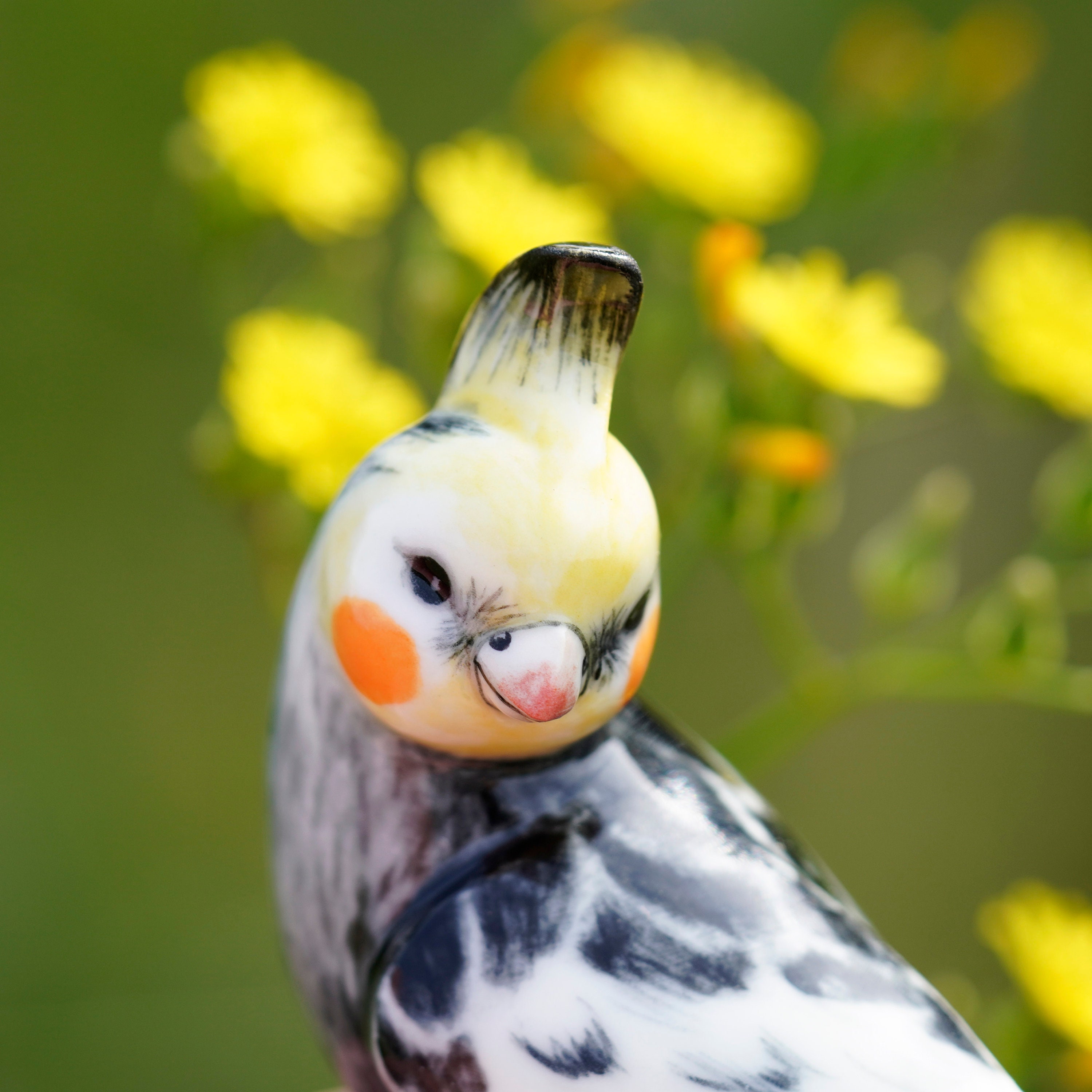 Solid Yellow Cockatiel