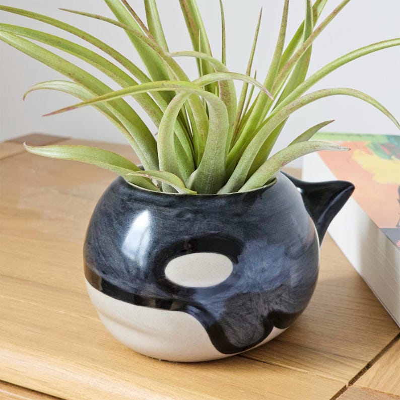 Handmade Ceramic Orca Planter Pot, Unique Sea Animal Gift - Etsy