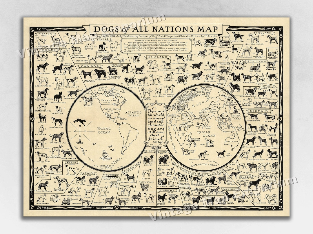 Dogs of the World Poster - 1936 Pictorial Map Showing the Dogs of All ...