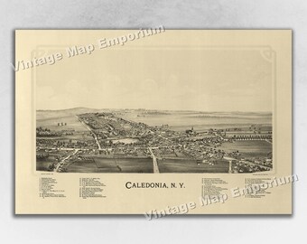 New Caledonia Print - Etsy