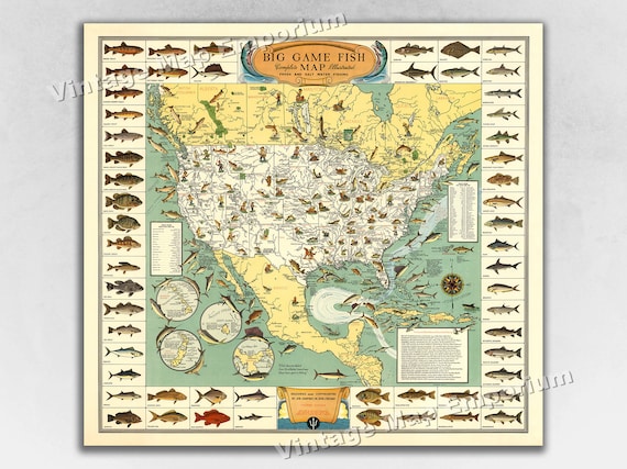 1936 Big Game Fish Map Complete Illustrated Map Fresh and | Etsy