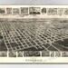 1908 Fitzgerald, Georgia Map Panoramic Old City Map Historic Birds Eye ...