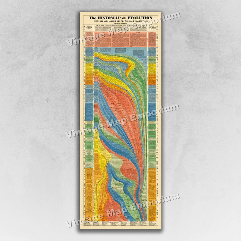 Timeline Evolution Poster - Etsy