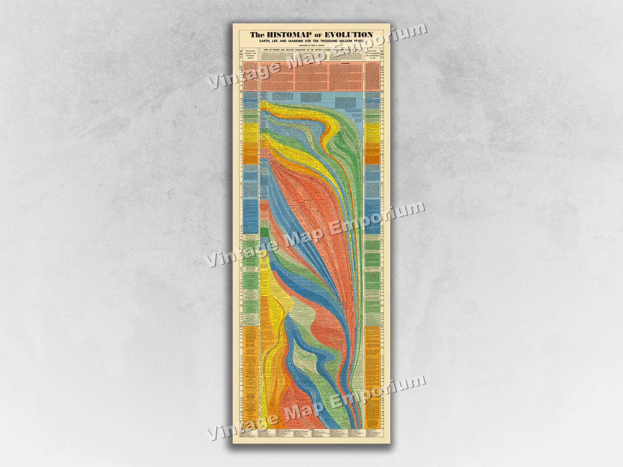 The Histomap of Evolution Descent From the Dawn of Life to - Etsy