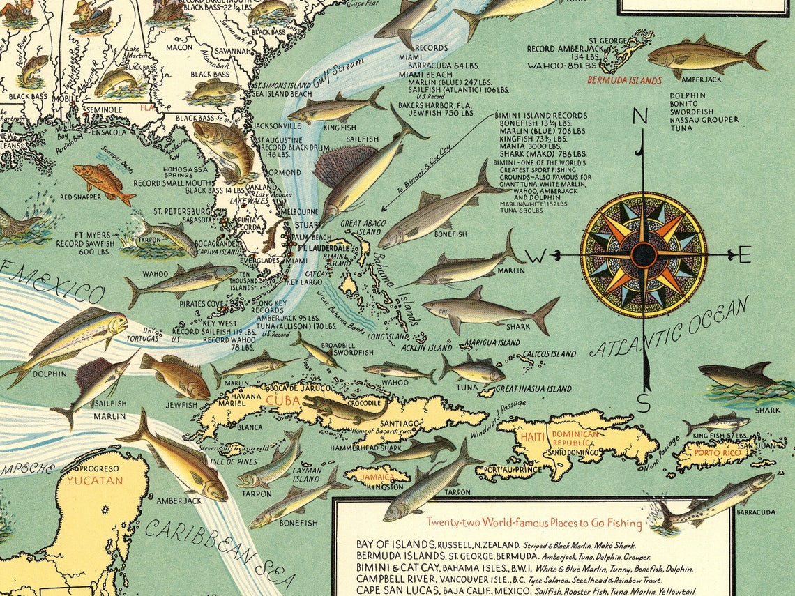 1936 Big Game Fish Map Complete Illustrated Map Fresh and | Etsy