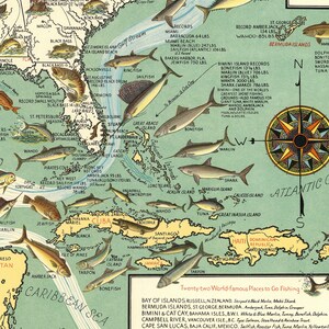 1936 Big Game Fish Map - Complete Illustrated Map - Fresh and Salt ...