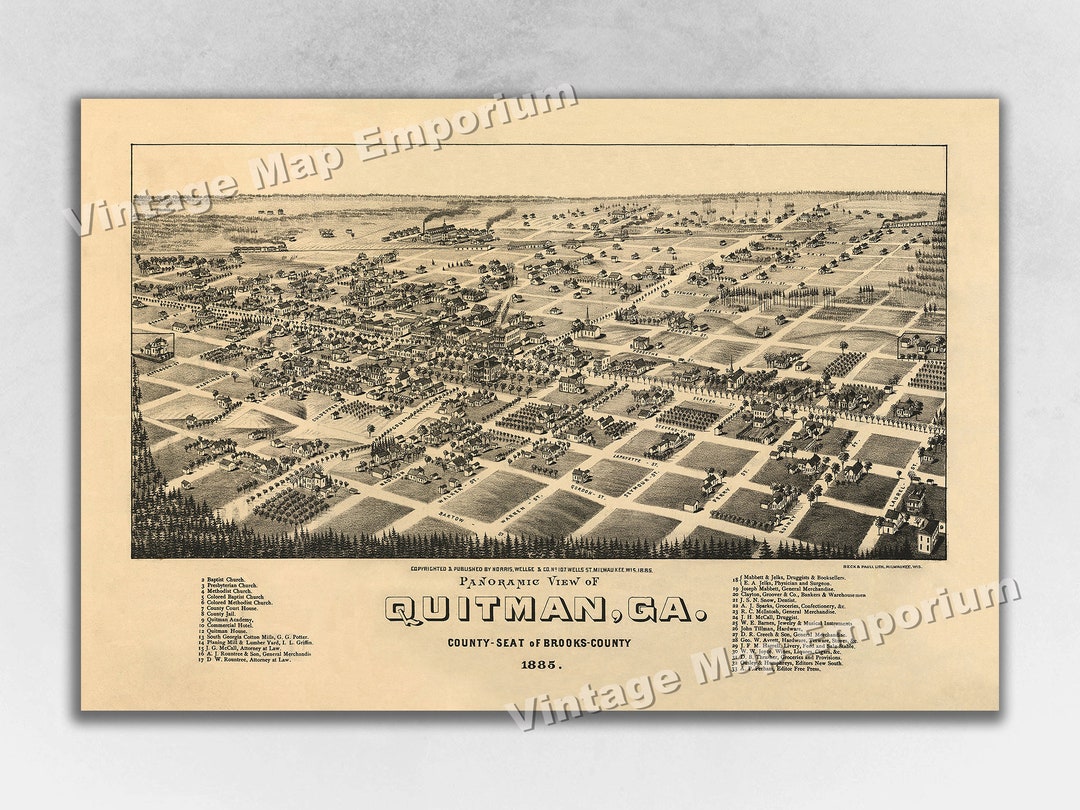 1885 Quitman, Georgia Map - Panoramic Old City Map - Historic Birds Eye ...