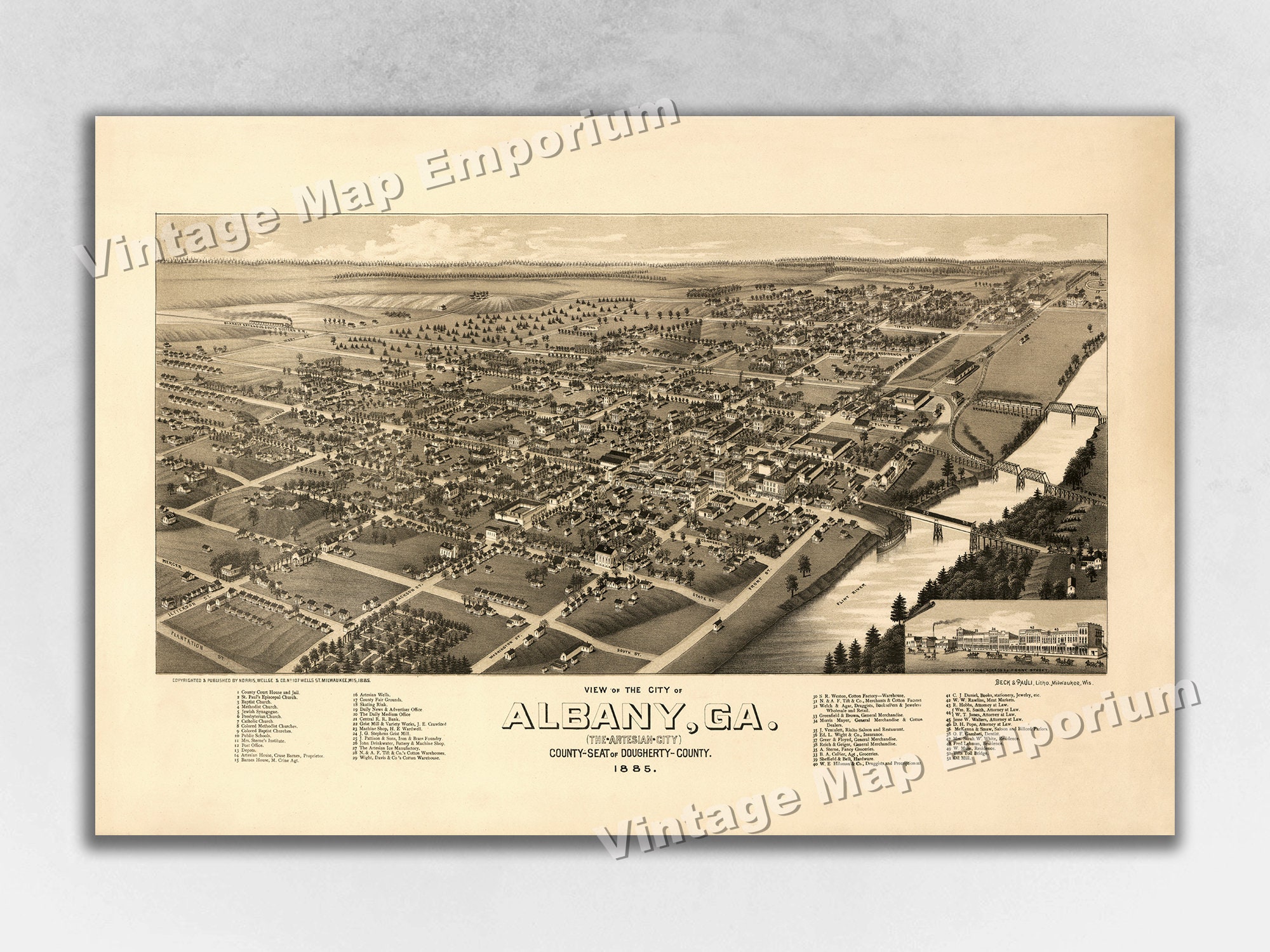 1885 Albany Georgia Map Panoramic Old City Map Historic - Etsy