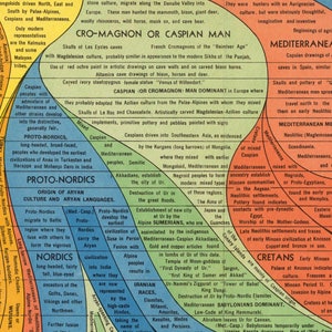 The Histomap of Evolution Descent From the Dawn of Life to Present Day ...