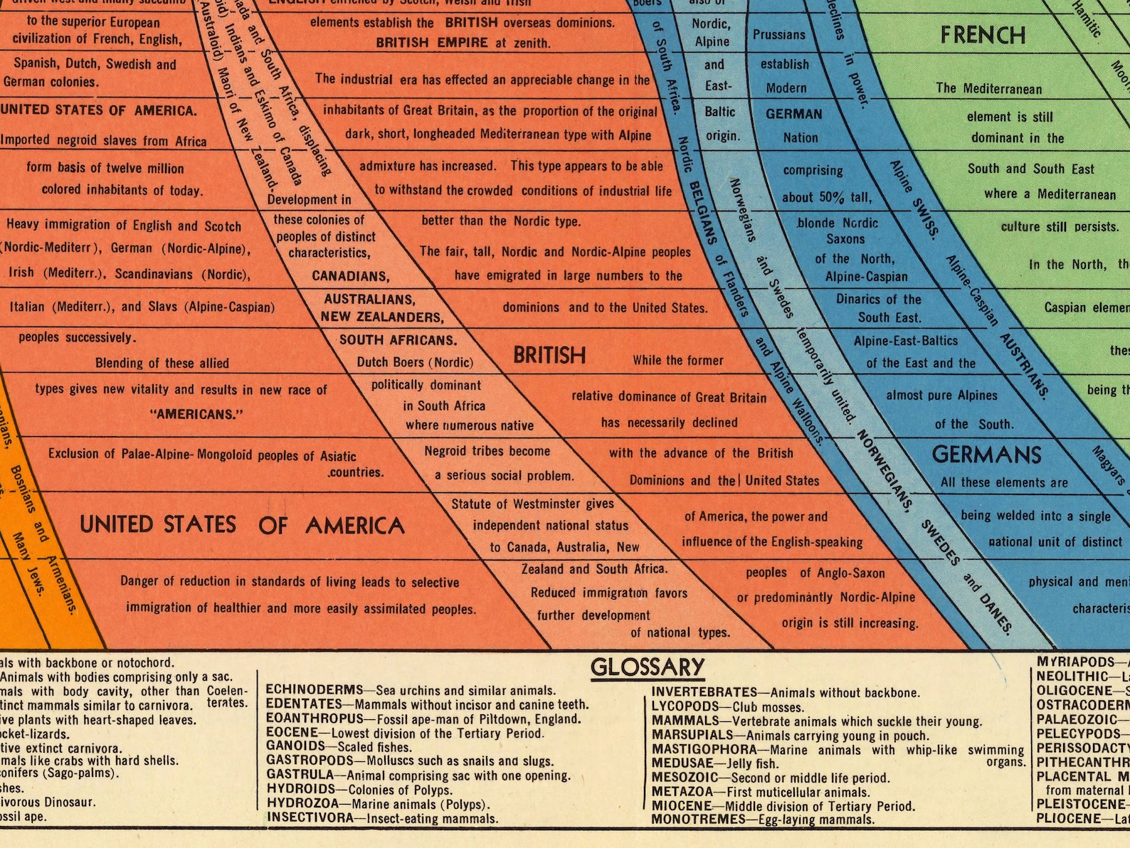The Histomap of Evolution Descent From the Dawn of Life to - Etsy