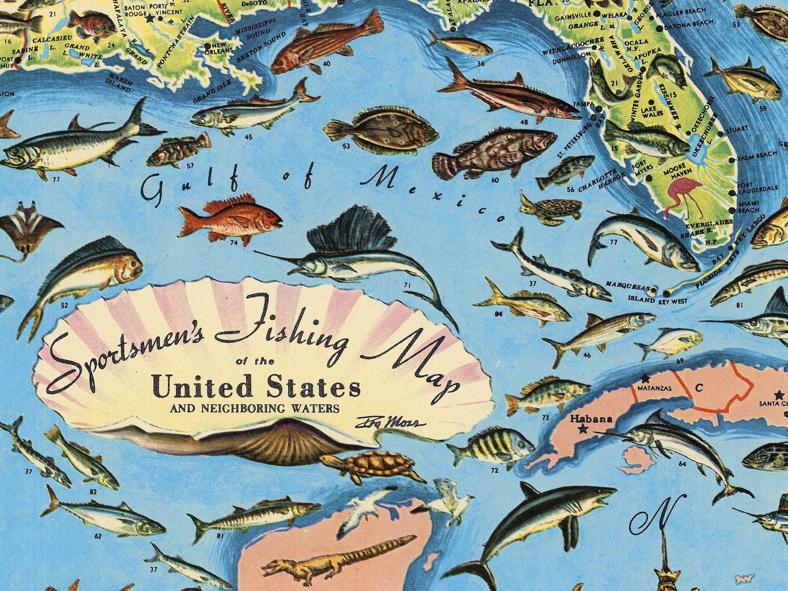 1957 Sportsmen's Fishing Map of the United States - Etsy