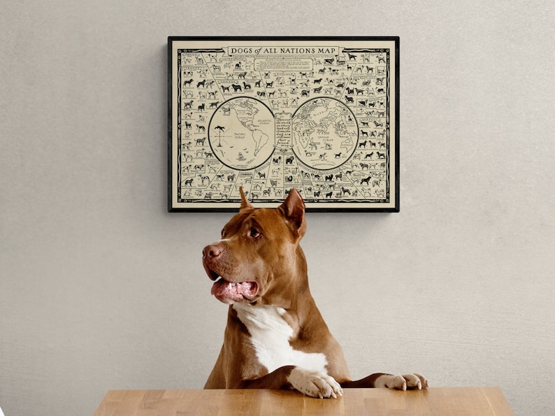 Dogs of the World Poster - 1936 Pictorial Map Showing the Dogs of All ...