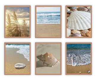 Wall art seashell | Etsy