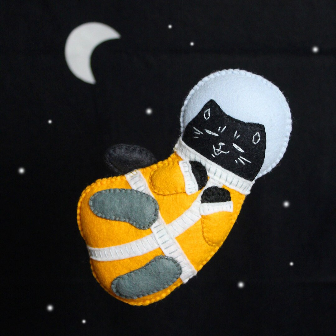 DIY Felt Hand Stitching Stuffed Animal Kit Space Boy Cat - Etsy