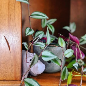 House Hippo DIY Felt Hand Sewing Pattern - PDF Download - Etsy