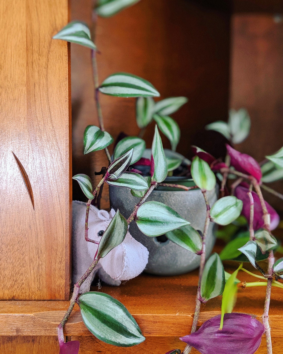 House Hippo DIY Felt Hand Sewing Pattern PDF Download - Etsy