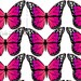 Vibrant Pink Wafer Paper Edible Pre-cut 3D Butterflies--18 Edible ...