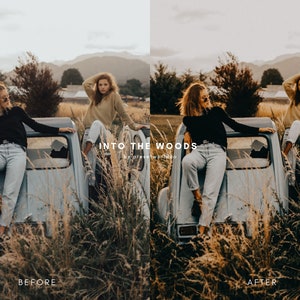 Into the Woods Lightroom Presets | 10 Unique and Moody Filters for ...