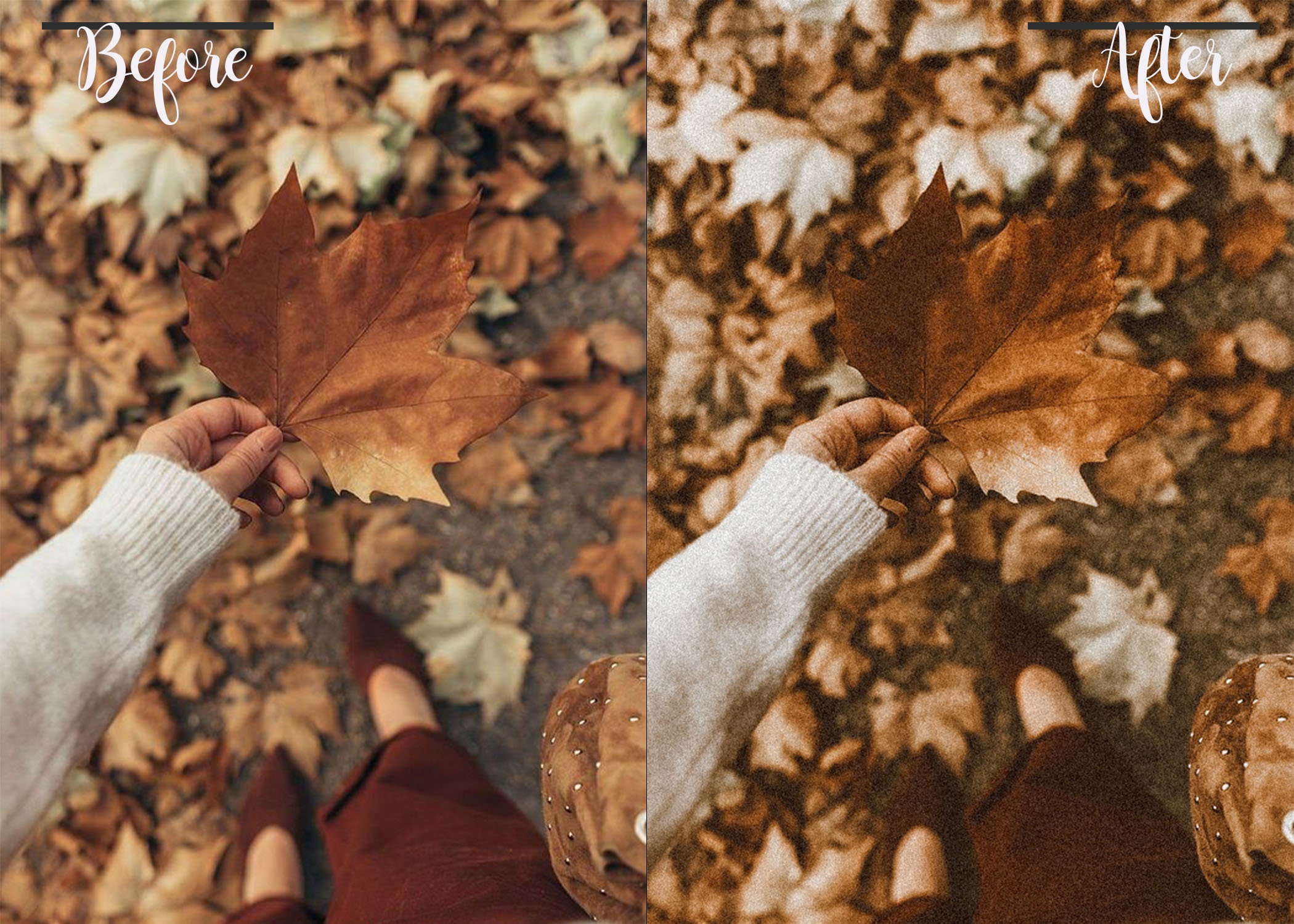 5 Fall Season Lightroom Presets/ Mobile and Desktop Presets/ | Etsy